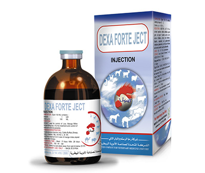 DEXAFORT JECT - Univet for veterinary medicine