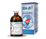 DEXA JECT - Univet for veterinary medicine