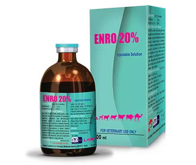 ENRO 20% - Univet for veterinary medicine